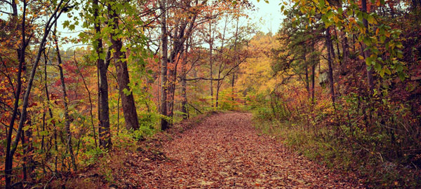 Photoblog: Fall Color in Pike County, KY - TourPikeCounty.com